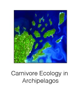 Research | Pauli Lab