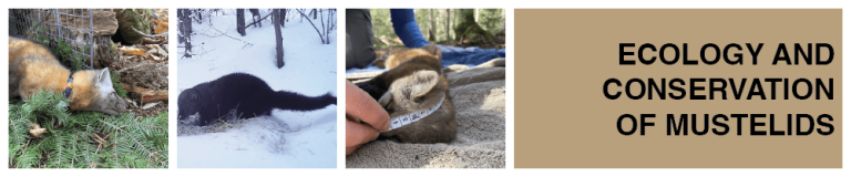Ecology and Conservation of Mustelids | Pauli Lab