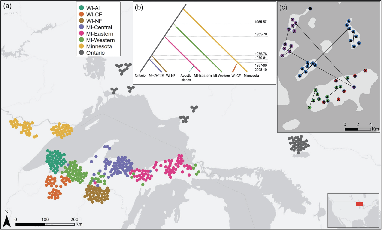 Carnivore Ecology in Archipelagos | Pauli Lab